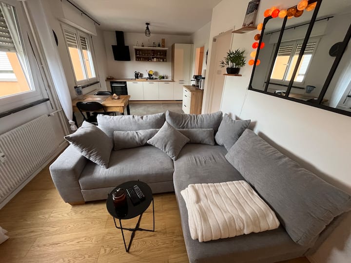 Appartement Calme Et Lumineux - Schiltigheim