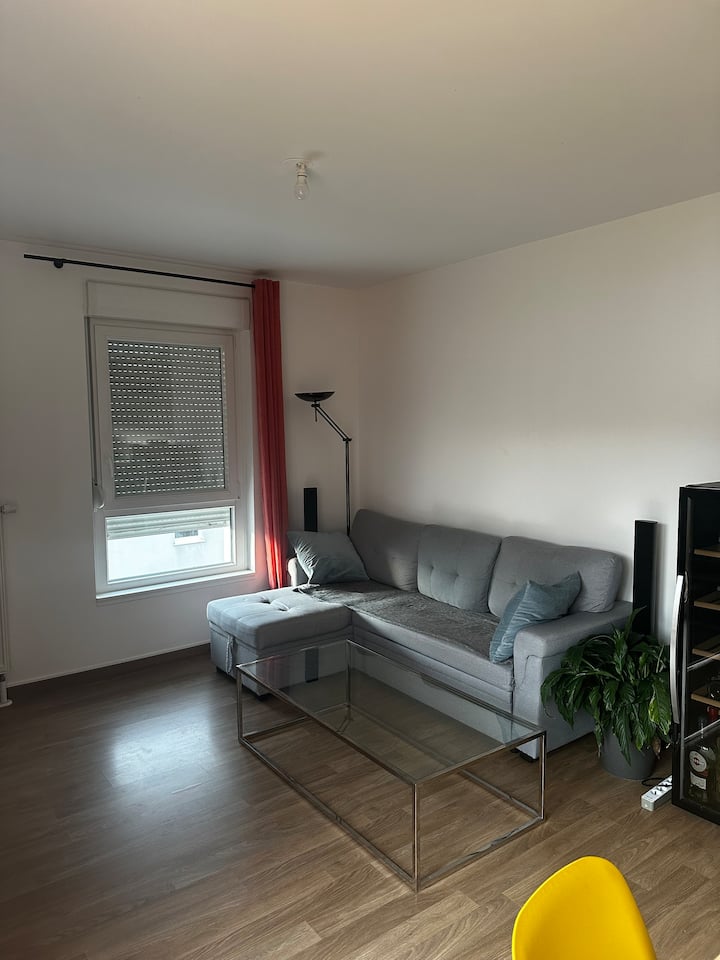 Chambre à 15-20min à Pied Du Centre - Strassburg