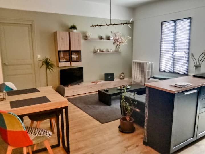 Bel Appartement à Vichy - Vichy