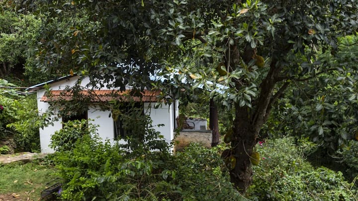 Forest Stay In Kodaikanal - 코다이카날