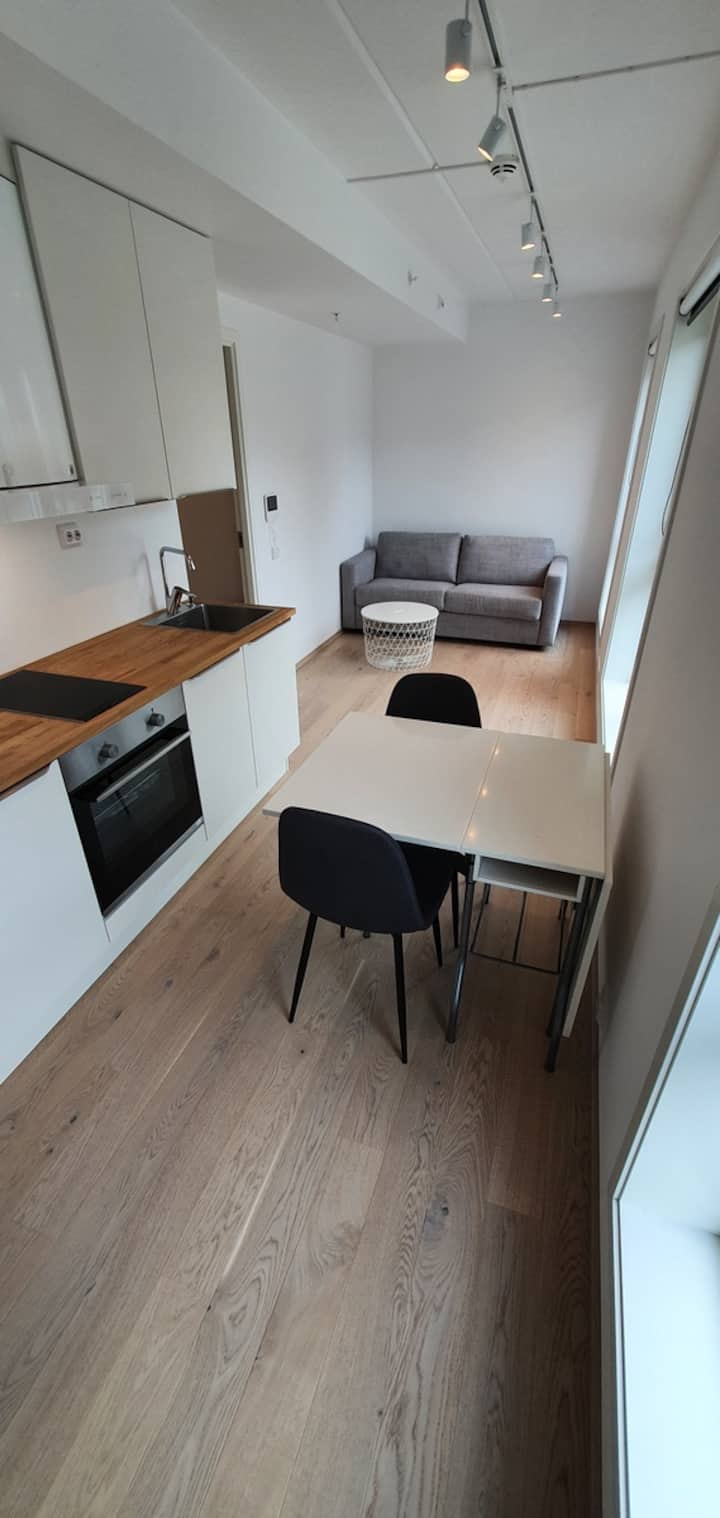 Studio Apartment In Aurora City - Tromsø