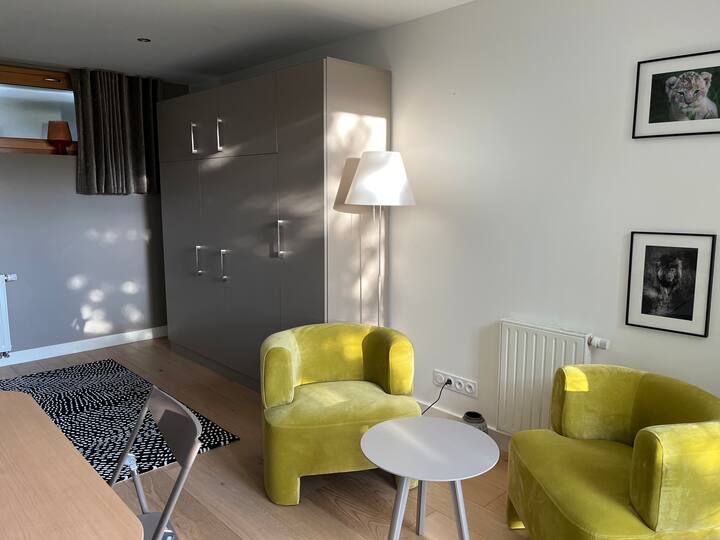 Studio Luxe 2 P Dans Les Vignes.
Aux Vignes Lovées - Riquewihr