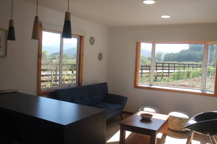 Cabaña Nº2 Condominio Costa Buchupureo - Cobquecura