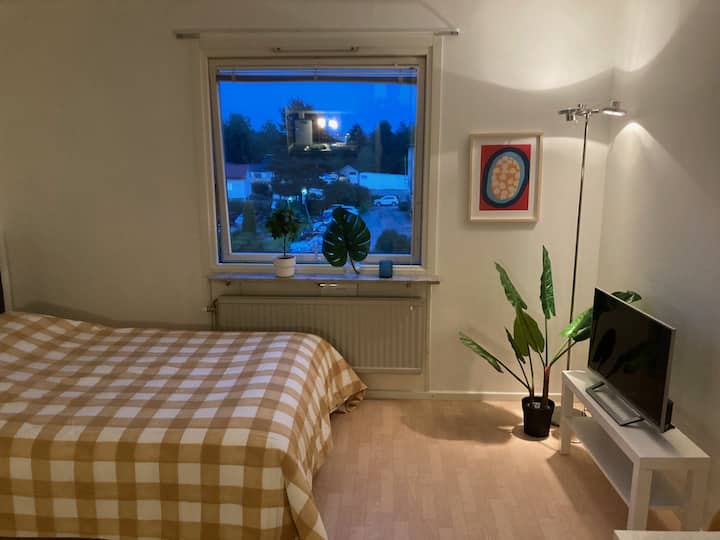 Fin 1:a I Sundsvall - Sundsvall