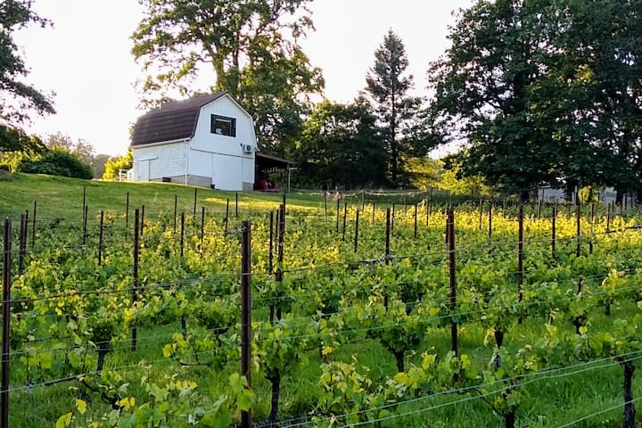 Vineyard Cottage Barn | Eola-amity Hills Retreat - Willamette Mission State Park, Gervais