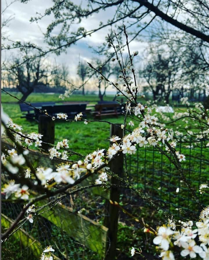 Romantisch Tiny House - Volendam