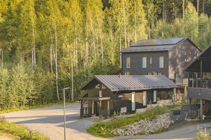 Luxury Villa Leijonanluola - Finland