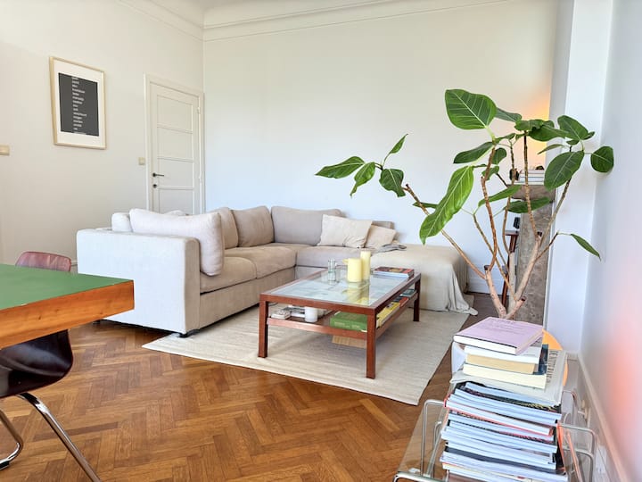 Spacious Apartment At The Park - Brussel