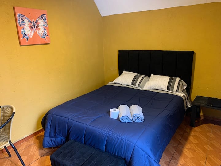 Habitación Doble Abedul - Curicó