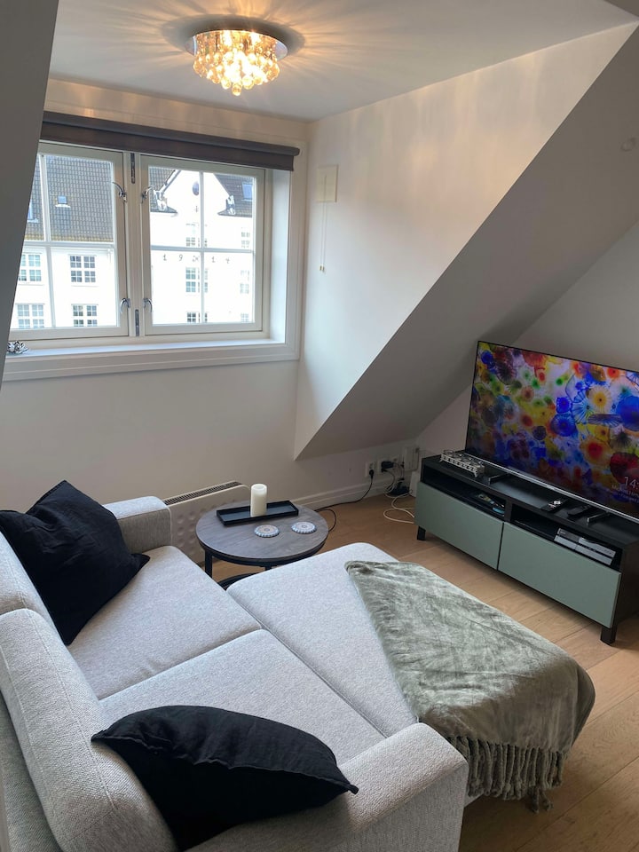 Sentral Leilighet På Rosenhoff Ved Carl Berner - Oslo