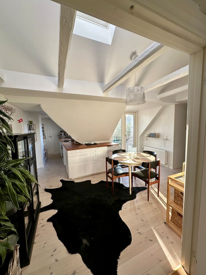 Pæn Og Lys Lejlighed, ÅRhus C - Aarhus