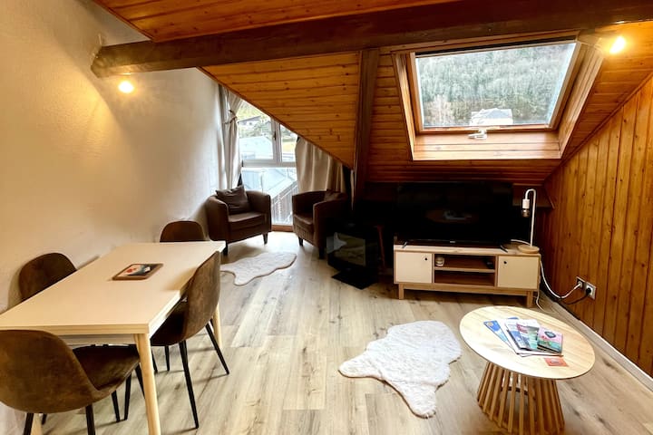 Appt Centre Saint-lary Soulan - Saint-Lary-Soulan