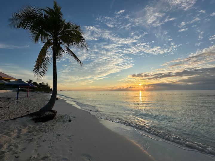 Palm Tree Cove - Beachfront, Partial Oceanview - Freeport