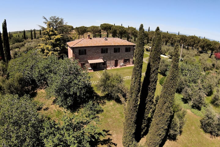 Your Wedding Under The Trees - Castiglione del Lago