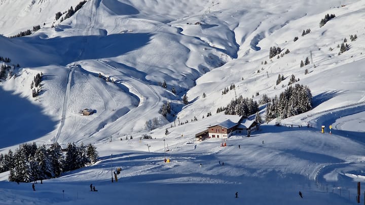 Appartement Ski In Ski Out - Les Portes du Soleil