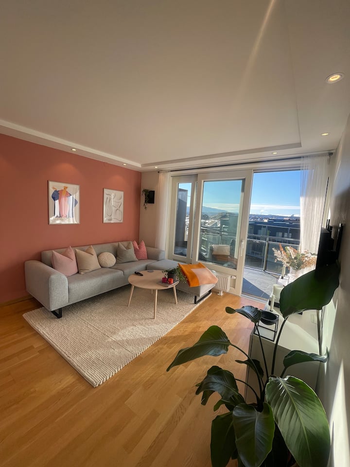 Utleiebolig I Trondheim - Trondheim