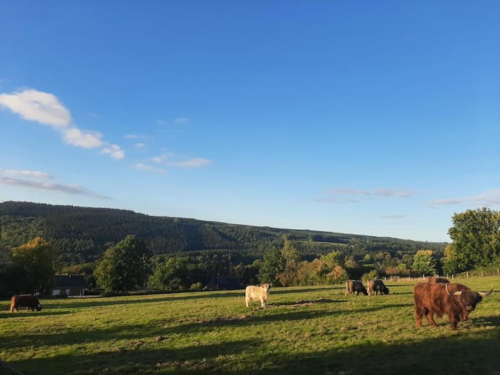 Nature Francorchamps /Circuit - Stavelot