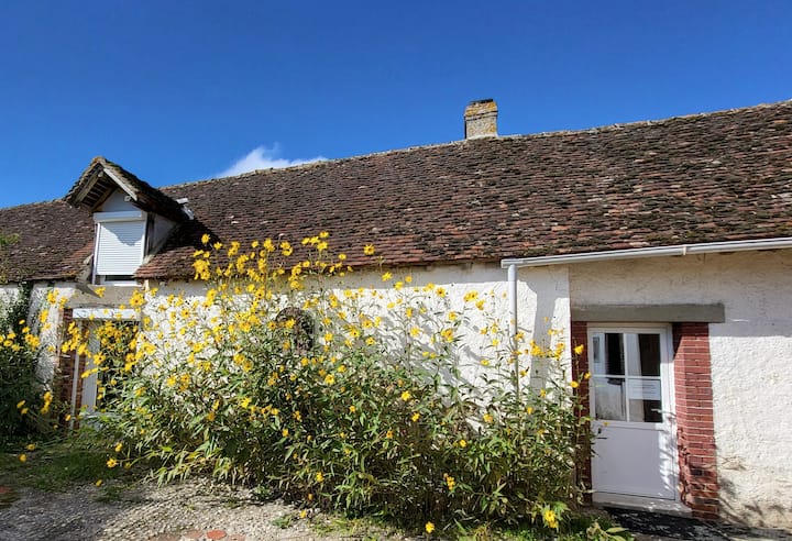 Gîte Le Courcolon - Villeneuve-sur-Yonne