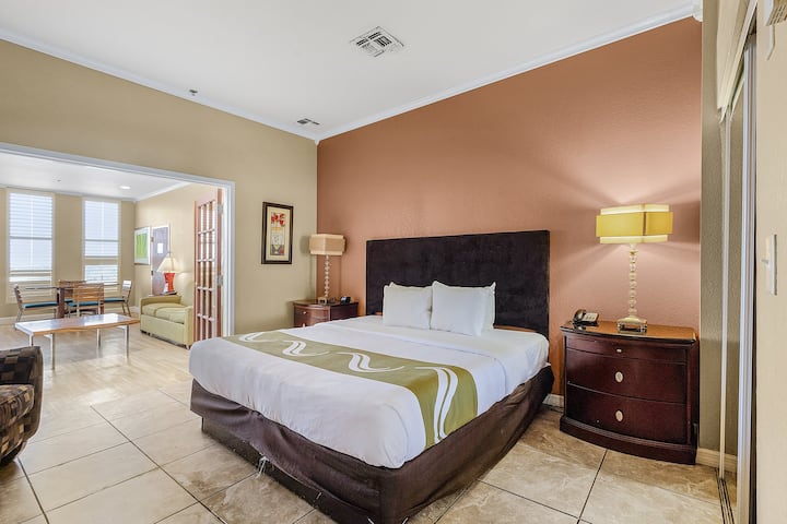 King Bed In A Hotel - Winter Haven, FL