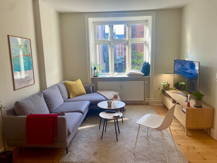 Cozy And Central Danish Apartment In Copenhagen - Copenhague