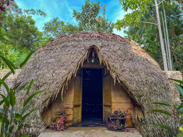Asaí
Chambira
Caraná
Ponilla - Tabatinga