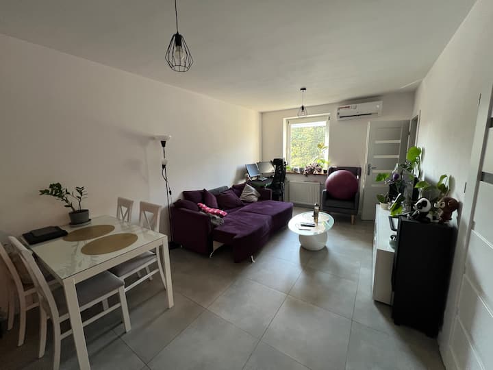 Apartment In A Quiet Area - Wroclaw