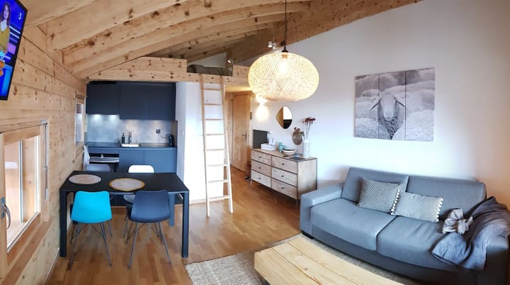 Appartement Au Départ De Médran - Verbier