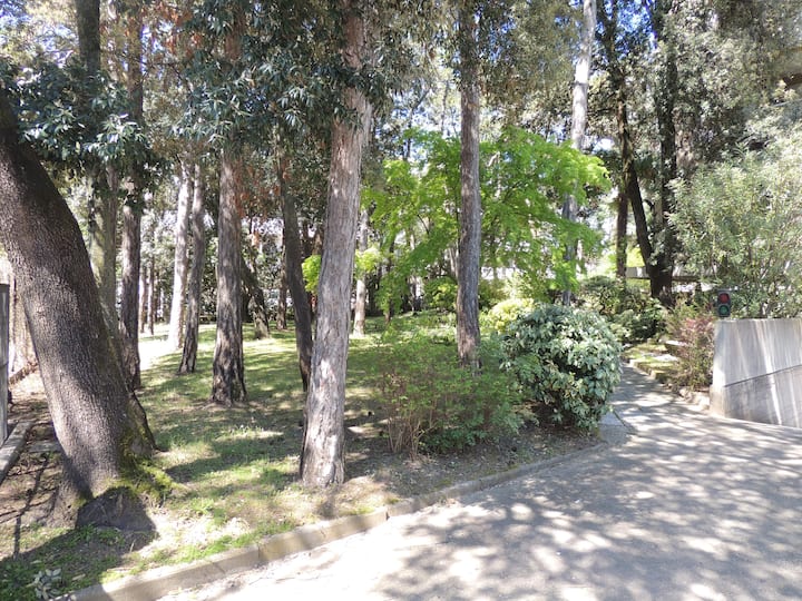 Appartamento Nettuno - Bibione