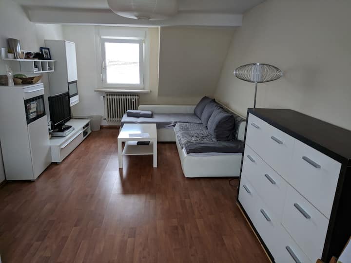 Penthouse In Worms-herrnsheim, 2 Zi. Kü. Bad - Worms