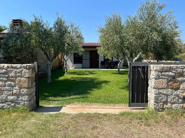 Olive Yard Toroni - Sarti