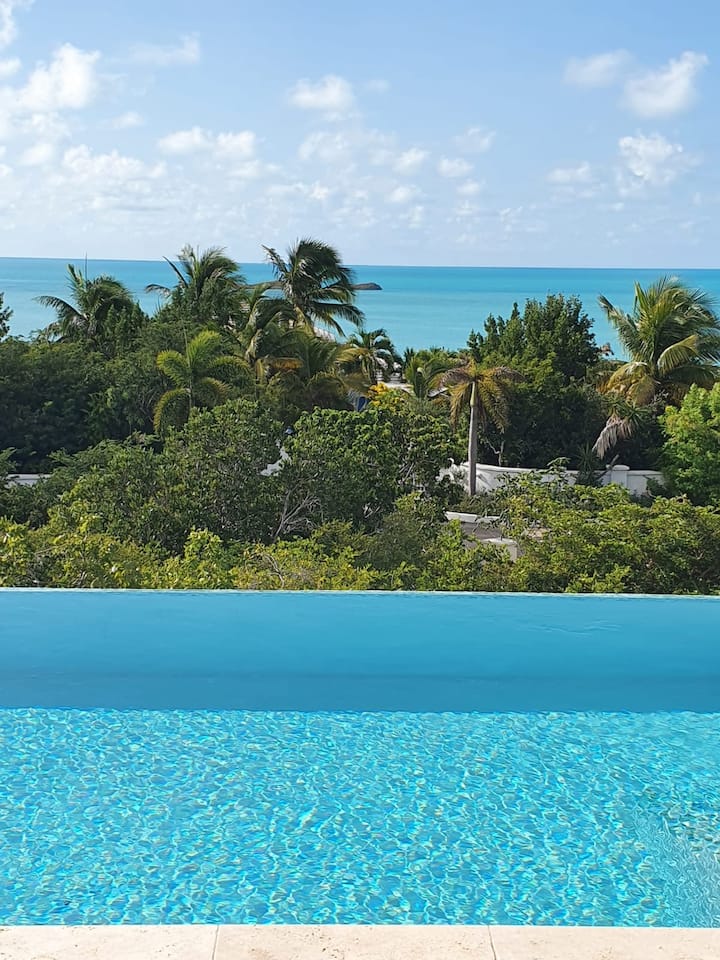 Private 1 Bed, 2 Bath Villa, Pool With Ocean Views - Turks and Caicos Islands