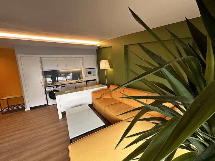 Maison Mitoyenne Tunalı 1+1 Neuve Avec Climatisation - Ankara