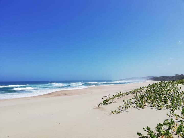 Caribbean Dreams In Africa - Port Edward