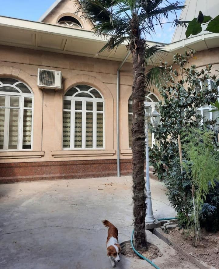 ДОМ Вилла, Tashkent, Узбекистан - Tashkent