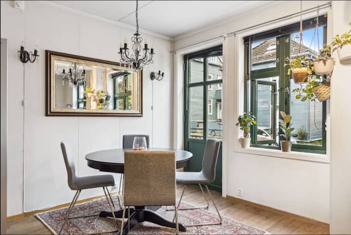Stylish & Modern Flat, In Centre, Free Parking ! - Trondheim