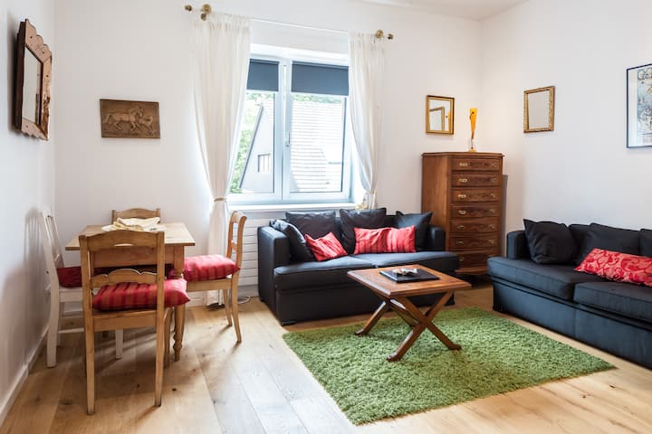 Apartment Deluxe Mit Fitness - Wiesbaden