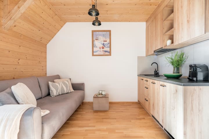 Perfect Stay In 1-bedroom Apartment In City Center - Zakopane