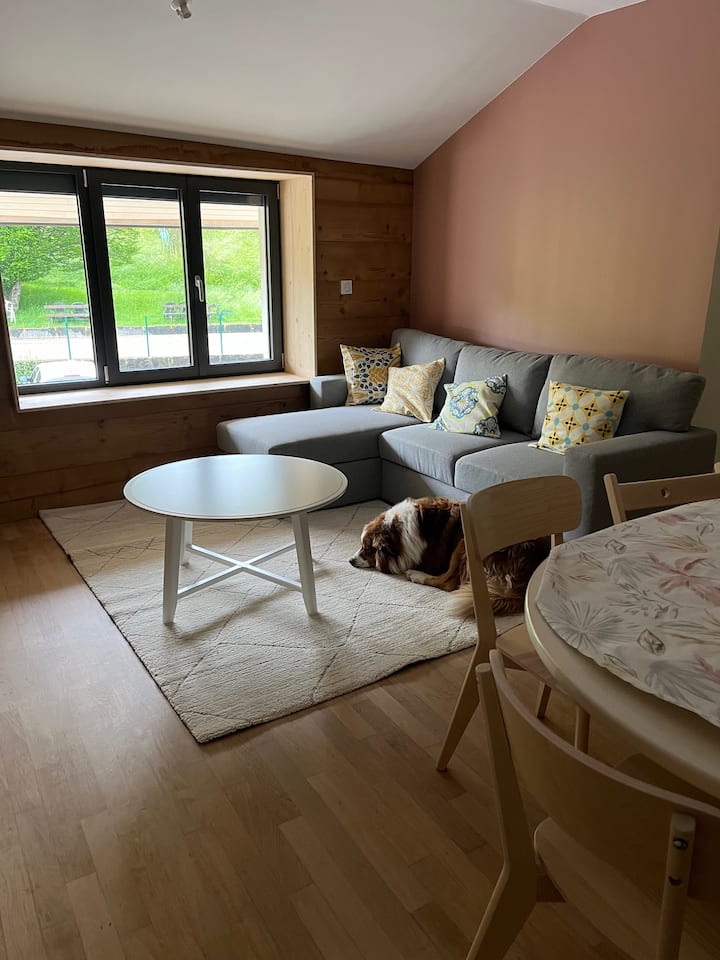 Regroupement 2 Gites 10 Pers - Lamoura