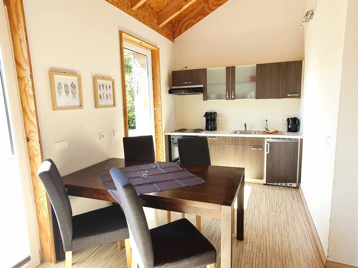 Ferienhaus 6 - Ilmenau