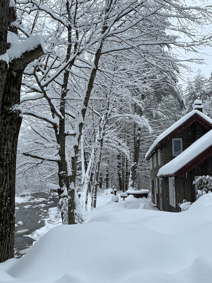 Riverside Cabin - Jamaica