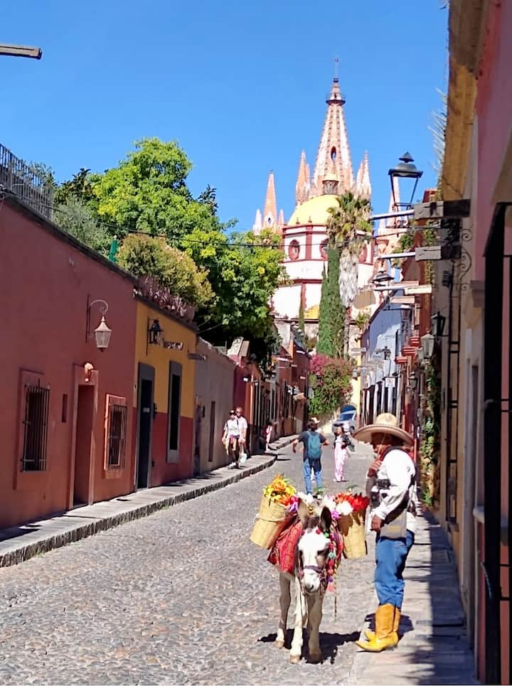 Casa Alegria - House Of Joy - San Miguel de Allende