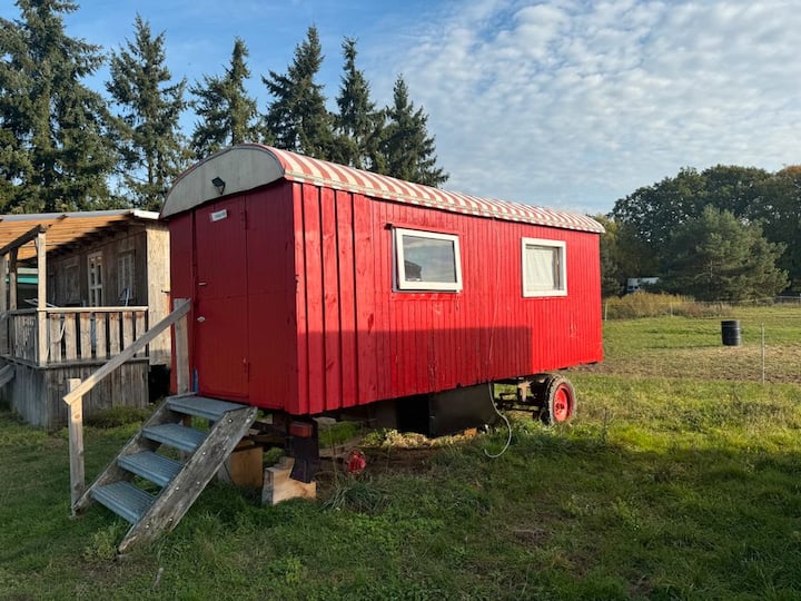 Tiny House Bauwagen Auf Pferdehof - Mecklenburg-Vorpommern