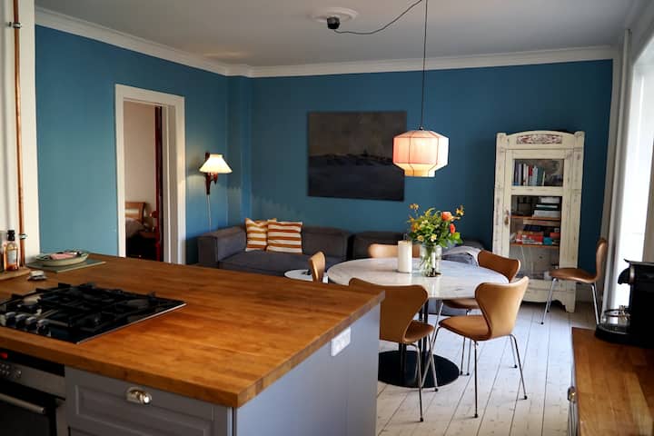 Cozy And Spacious Apartment - Copenhagen