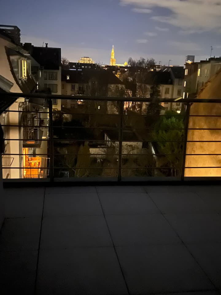 Apparemment Vu Sur La Cathédrale - Strasburgo