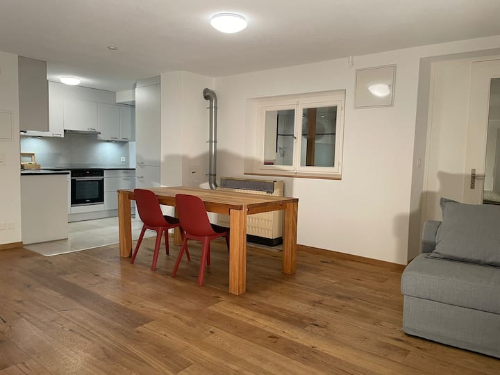 3.5 Zimmer Wohnung Mit Innenhof - Zurych