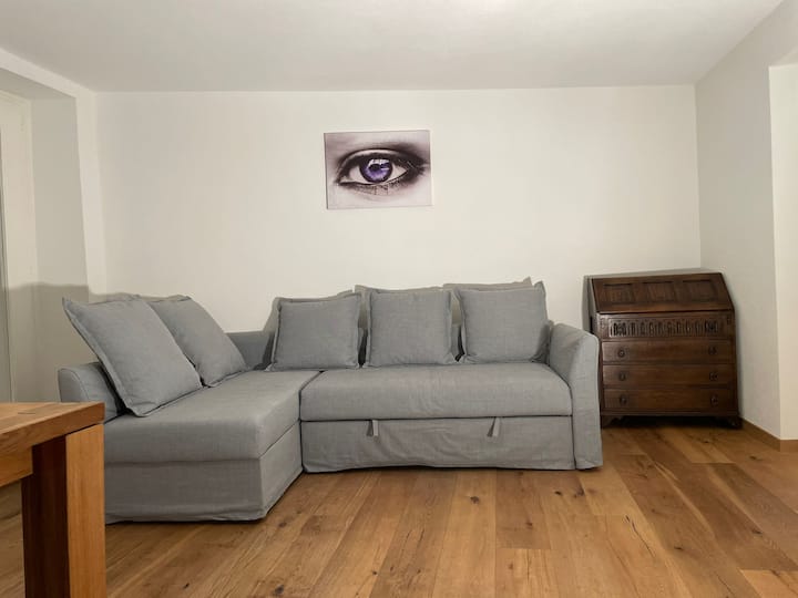 3.5 Zimmer Wohnung Mit Innenhof - Zurique