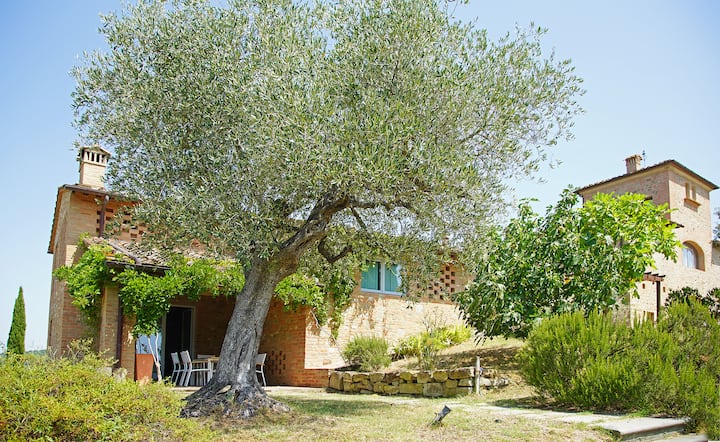 Fienile - Certaldo