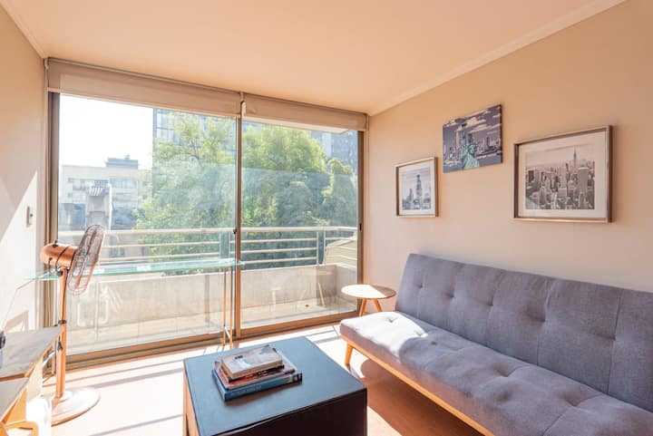 Dept Stgo Centro 1d1b Bellas Art - Santiago (Chile)