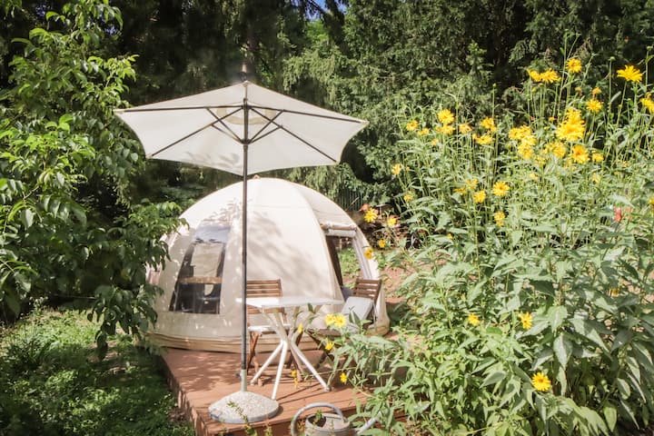Wigwam Polaris - Niederbronn-les-Bains