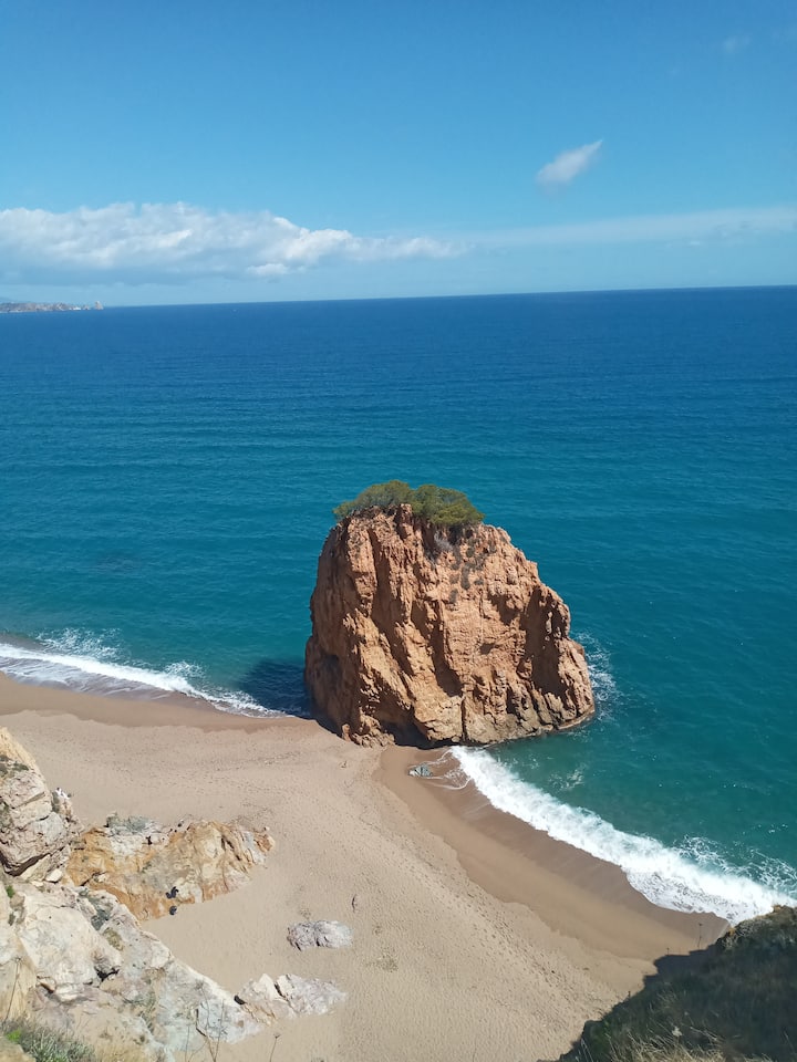 A 300 Mètres De La Plage, Joli Appartement - Sa Riera